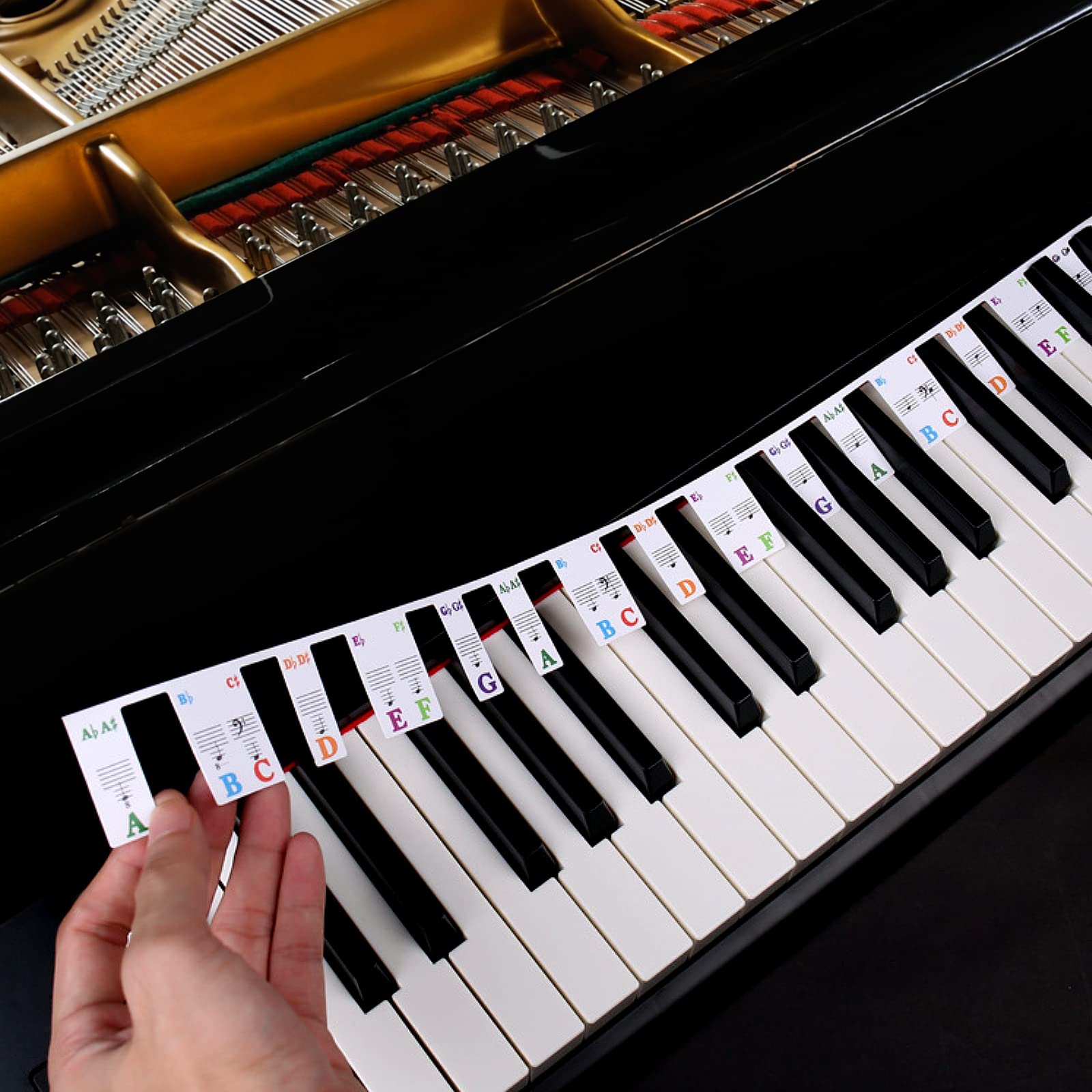 Piano Keyboard Stickers for 88/61/54/49/37 Key, Piano Rake Key Labels Overlay Removable for Beginners Kids, Multicolor (PVC)