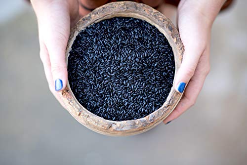 Lotus Foods Bulk Organic Forbidden Black Rice β Gluten-Free, Gourmet & Certified Organic Heirloom Whole Grain Rice, 11 pounds (1 pack)