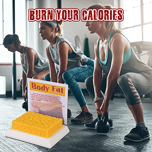 SimCoach Human Body Fat Replica 1 Lb, Keep Fit & Weight Loss Motivation & Reminder, Silicone Human Fatty Tissue Demonstration Model for Nutritionist, Athlete