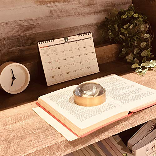 JAPANESE CALENDAR Efficiency NOLTY 2020 Calendar Tabletop 21 B6 C214 (Calendar)