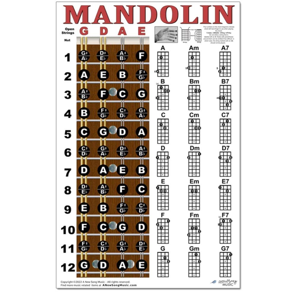 Laminated Mandolin Fretboard Notes & Easy Beginner Chord Chart 11"x17" Instructional Poster by A New Song Music