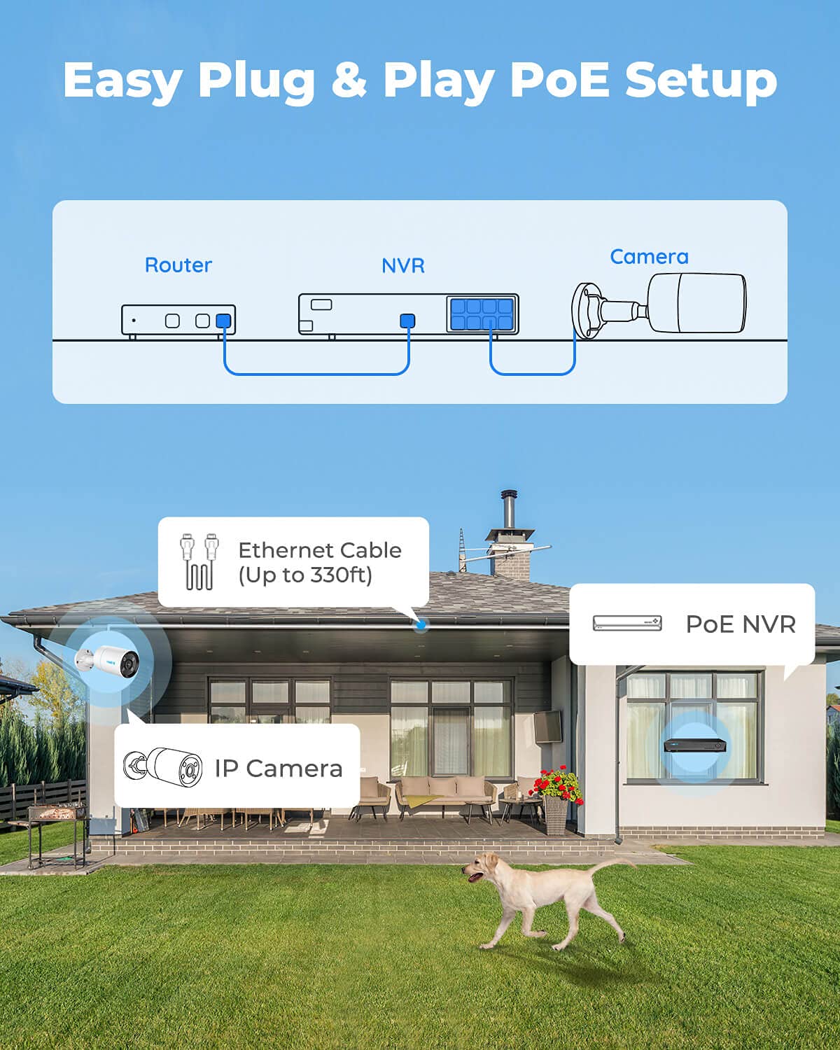 REOLINK 4K Security Camera System, 8pcs H.265 PoE Security Cameras Wired with Person/Vehicle Detection, Two-Way Talk, Spotlights, 8MP 16CH NVR with 3TB HDD for 24-7 Recording, RLK16-812B8-A (Renewed)