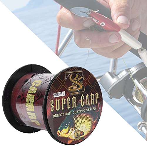 RvSky Fishing kit 500m Super Strong Nylon Fishing Line Thread Cord Sea Fresh Water Fish Tool