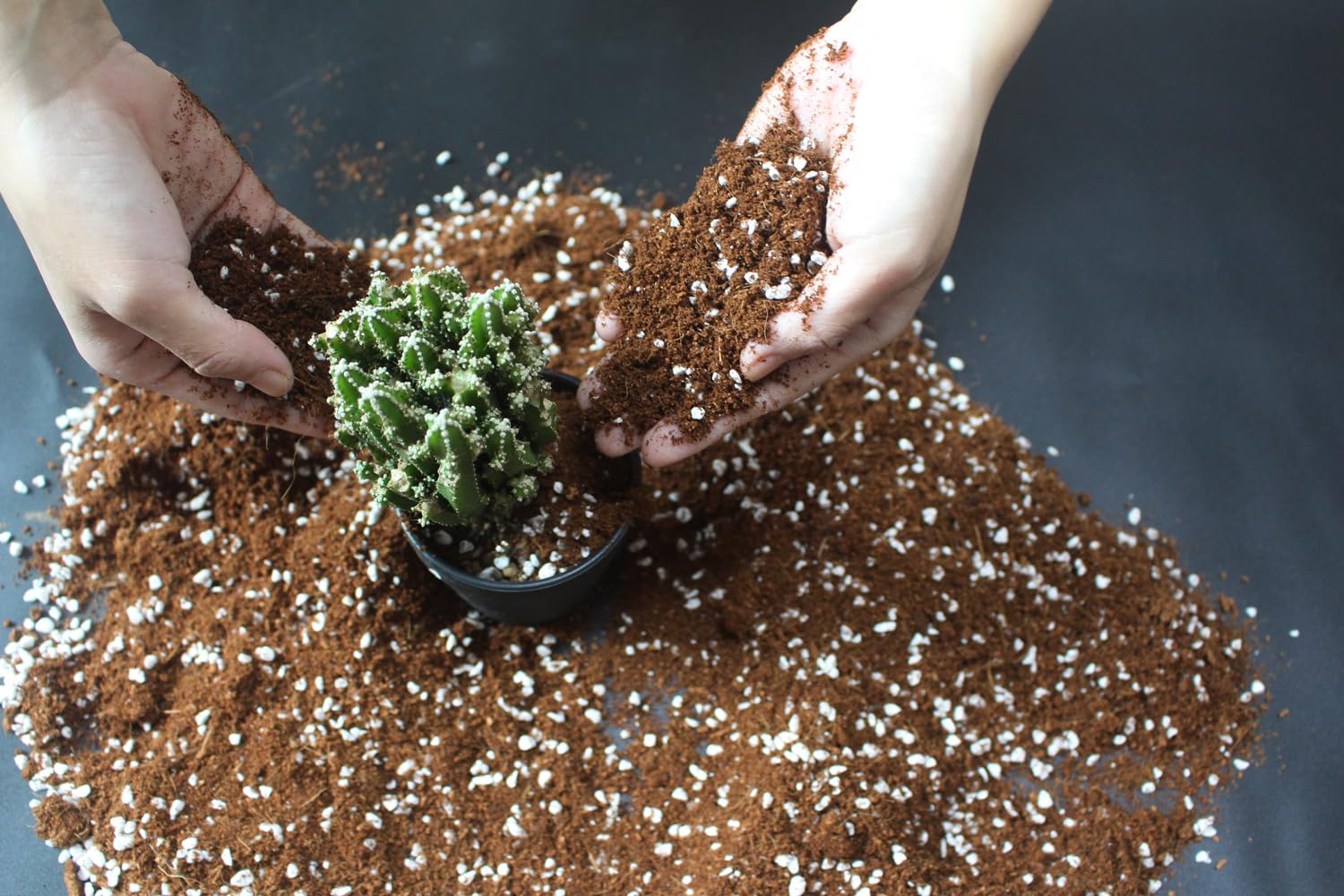 JFWOD 10 Quart 70/30 Coco Coir Perlite Potting Mix, Organic Garden Soil for Plant Growth, Great for Gardening Plants Flower Herbs and Vegetables