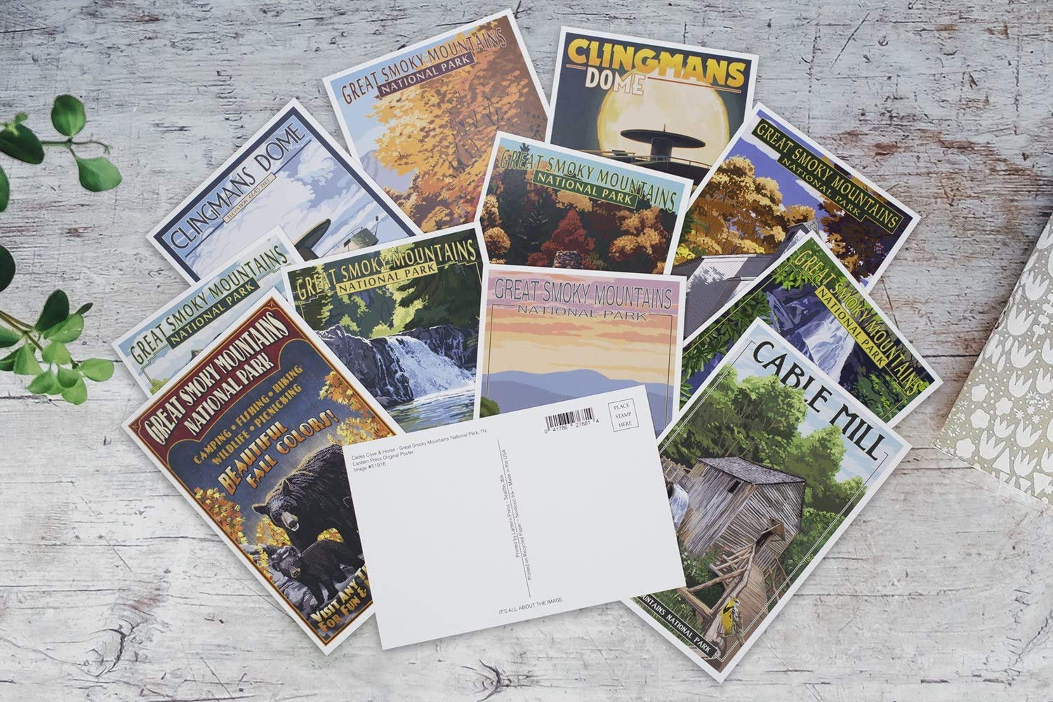 Lantern Press Yellowstone National Park - Postcard Set of 12 Different Original Hand Illustrated Postcards