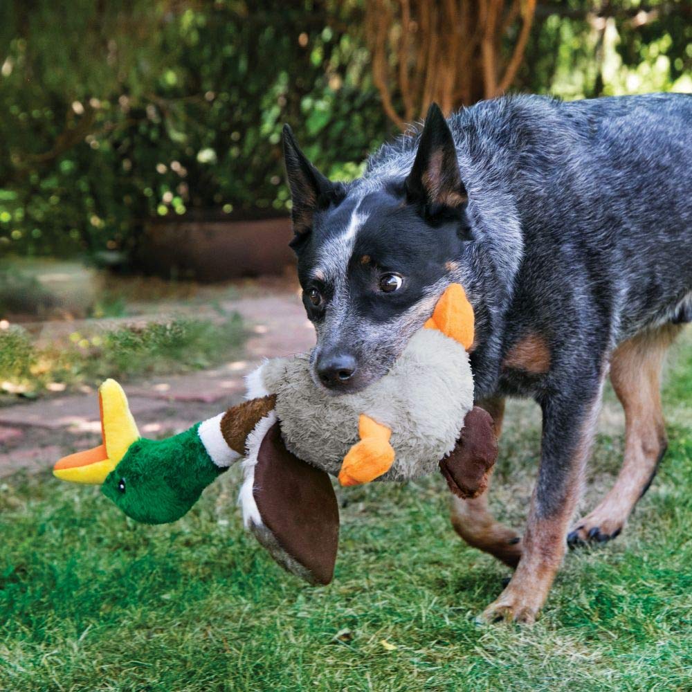 KONG - Shakers Honkers Duck and Comfort Kiddos Lion - Floppy Plush for Tug and Fetch - for Large Dogs