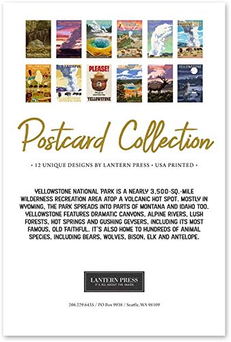 Lantern Press Yellowstone National Park - Postcard Set of 12 Different Original Hand Illustrated Postcards