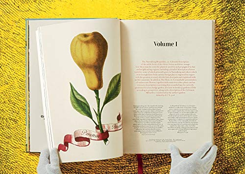 J. C. Volkamer The Book of Citrus Fruits: The Complete Plates 1708-1714, Numbered Edition 0971