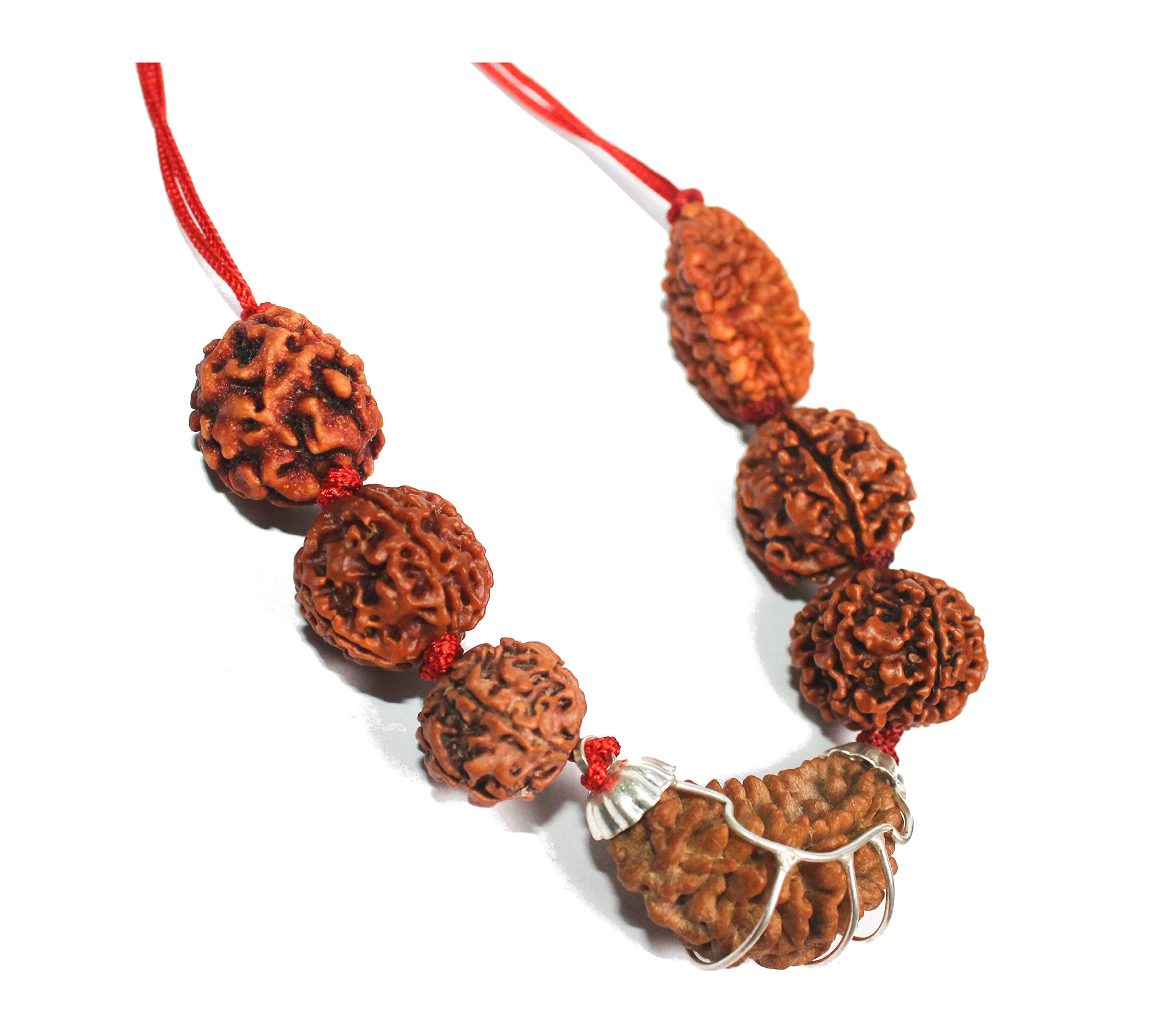 IndianStore4All IS4A Certified Rudraksha Mala (1, 2, 3, 4, 5, 6, 7 Mukhi, Face) Beads Necklaces