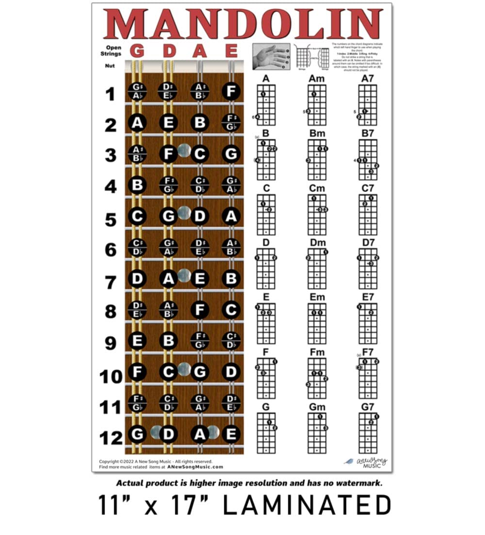 Laminated Mandolin Fretboard Notes & Easy Beginner Chord Chart 11"x17" Instructional Poster by A New Song Music