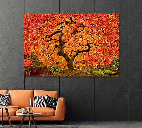 Japanese Maple in Autumn Canvas Print 5 Panels / 36x24 inches