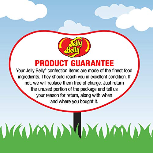 Jelly Belly Sunkist® Fruit Gems Box - 14 Ounces of Assorted Flavors - Made with Real Fruit Juices - Genuine, Official, Straight from the Source