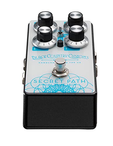 Laney Electric Guitar Single Effect, Black (BCC-Secret Path)