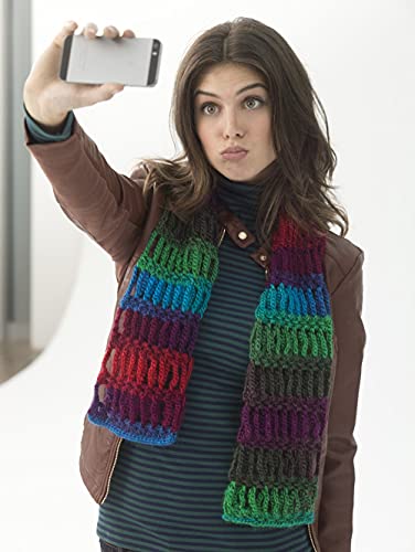 Lion Brand Landscapes Yarn - 6 Pack with Pattern Cards in Color (Apple Orchard), red, burgundy, blue, brown, and green