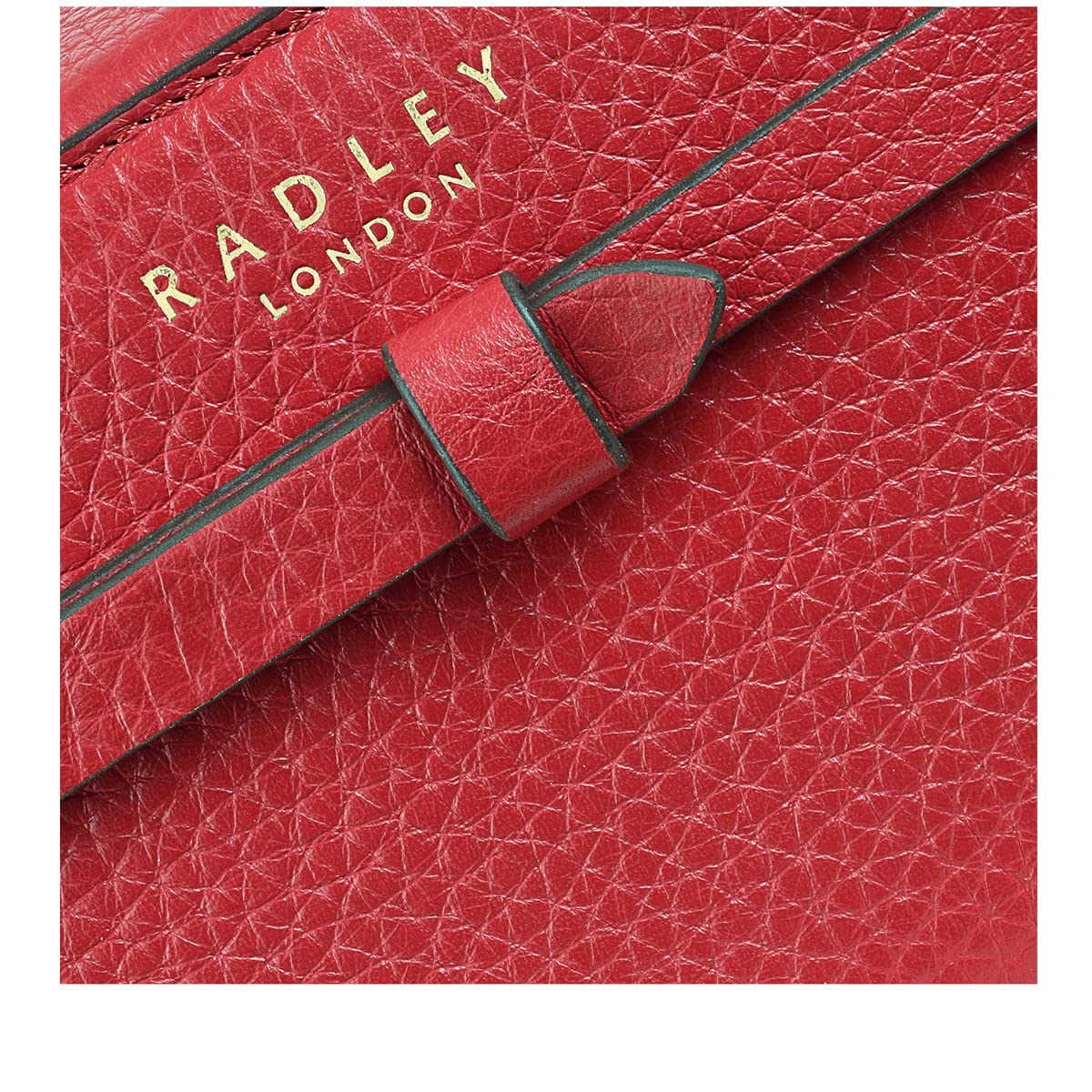 RADLEY London West Mews - Stud - Small Phone Crossbody
