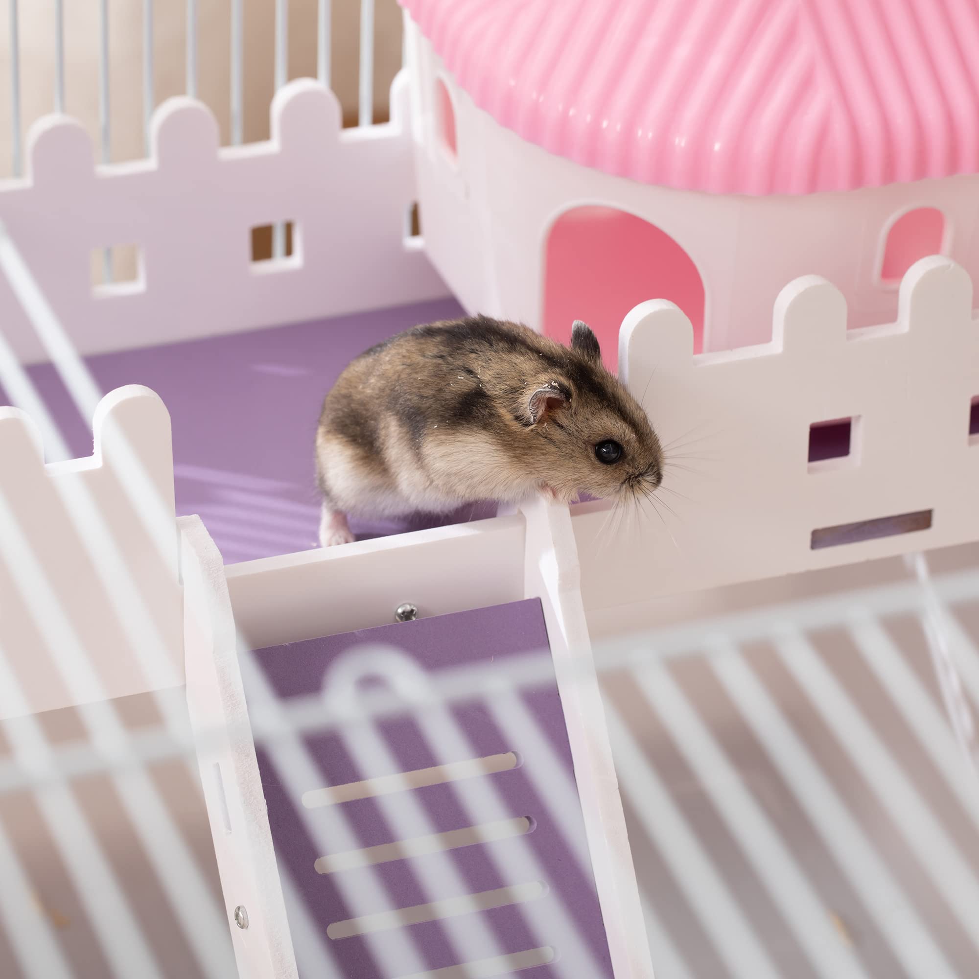 PawHut 2 Tier Hamster Cage Gerbil Rodent House Small Animal Habitat with Water Bottle, Exercise Wheel, Ladder, Hut, White