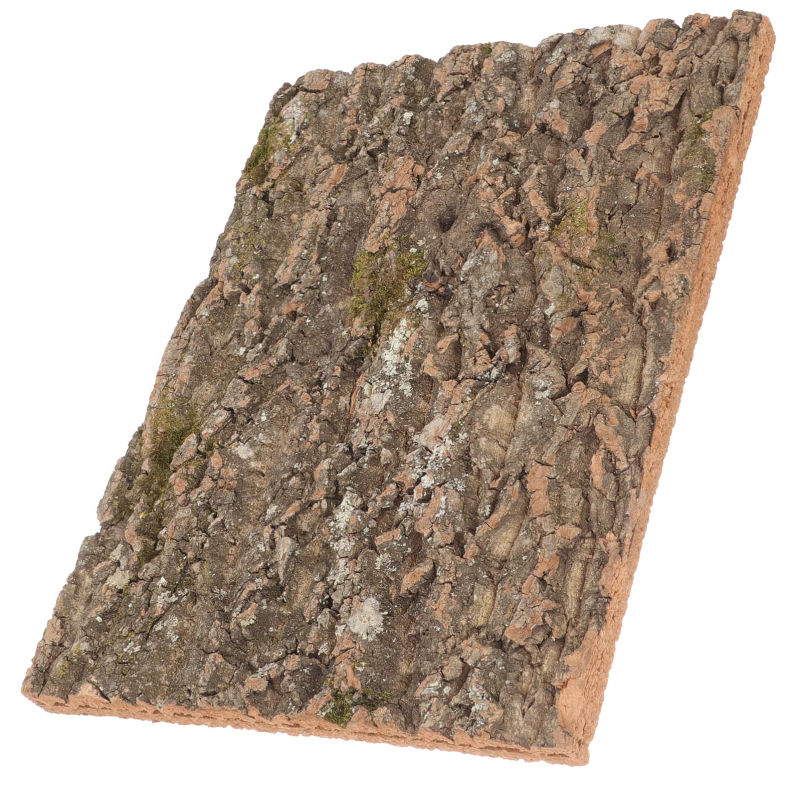 Ipetboom Reptile Tree Bark Lizard Climbing Platform Botanical Decor Plant Decorations Leopard Gecko Costume Snake Hiding Place Reptile Bark Platform Turtle Climbing Bark Natural Animal Cork