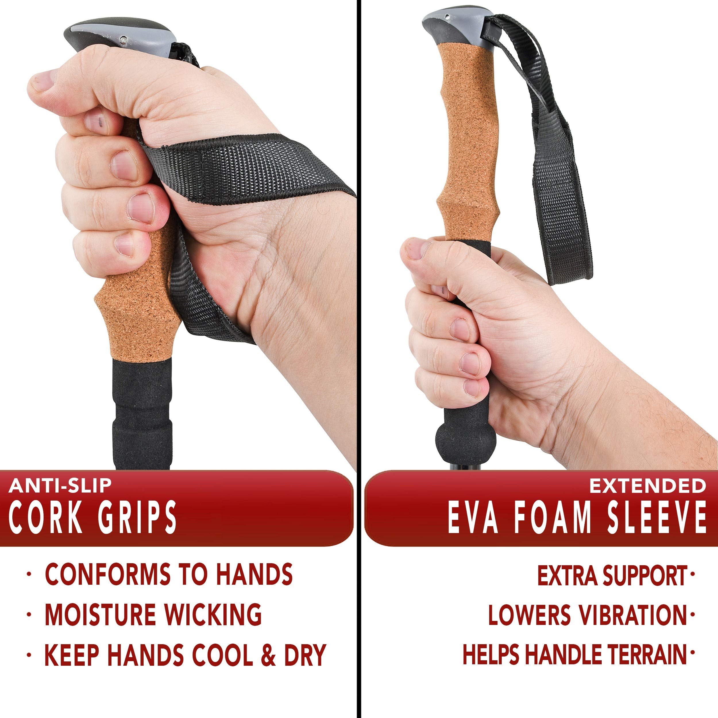 KOR Outdoors Aluminum Trekking Poles - Durable, Lightweight Aluminum 7075 Hiking or Walking Sticks – 2 pc Pack with Quick Adjustable Locks – Expandable to 54” – Cork Grip