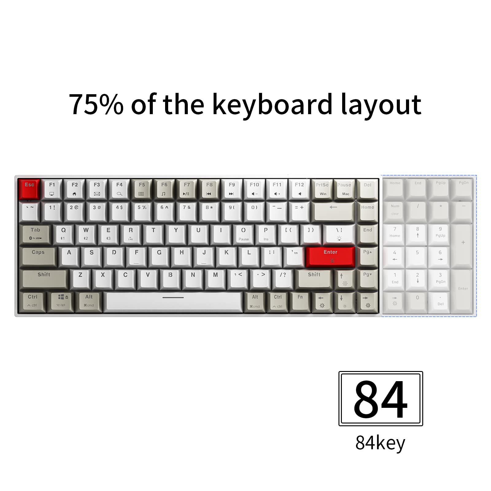 Newmen GM840 75% Gaming Keyboard,Wired/Bluetooth/2.4G Hot swappable Anti-Ghosting 84 Keys Mechanical Gaming Keyboard with RGB Backlit,for Windows Mac and Android (Blue)