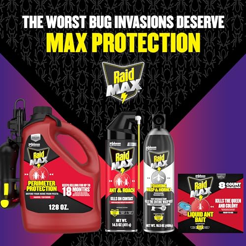 Raid MAX Perimeter Protection, 1 Gallon, Indoor & Outdoor Insecticide Spray with Reusable Electric Sprayer