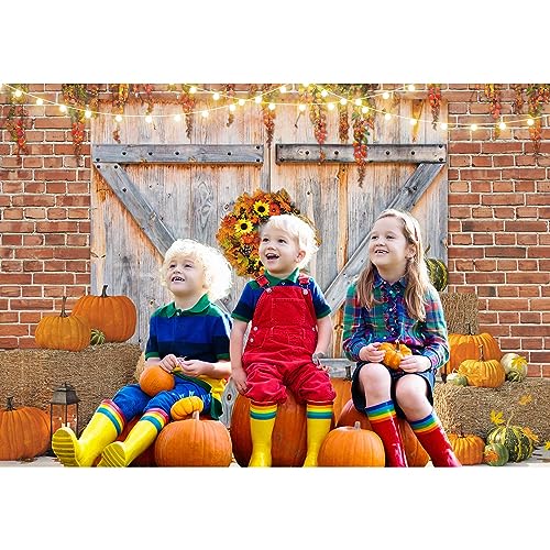 LIVUCEE 10x8ft Polyester Fall Rustic Farm Door Photography Backdrop Autumn Thanksgiving Pumpkin Harvest Barn Background for Children Birthday Party Banner Decoration Photobooth