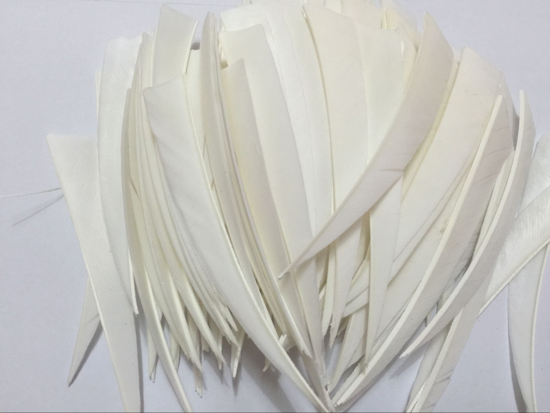JIEXI HWYP Archery Fletches 5" Turkey Feather Shielded Shape Pack of 100 (White, Left Wing)