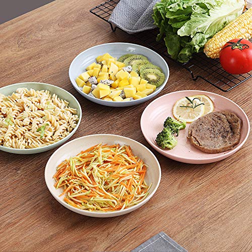 NAWOVAO Wheat Straw Plates Plastic Plates Reusable 10 Inch - Microwave Safe Plates for Kitchen Set of 4, Unbreakable Dinner Plates, BPA Free