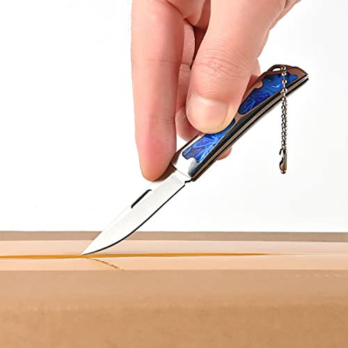 NBGDY Mini Knife Keychain, Small Pocket Folding Knife,EDC Package OpenerĀ Box Cutter Knife. 2PCS(Red and Blue)(KPQ-1029)