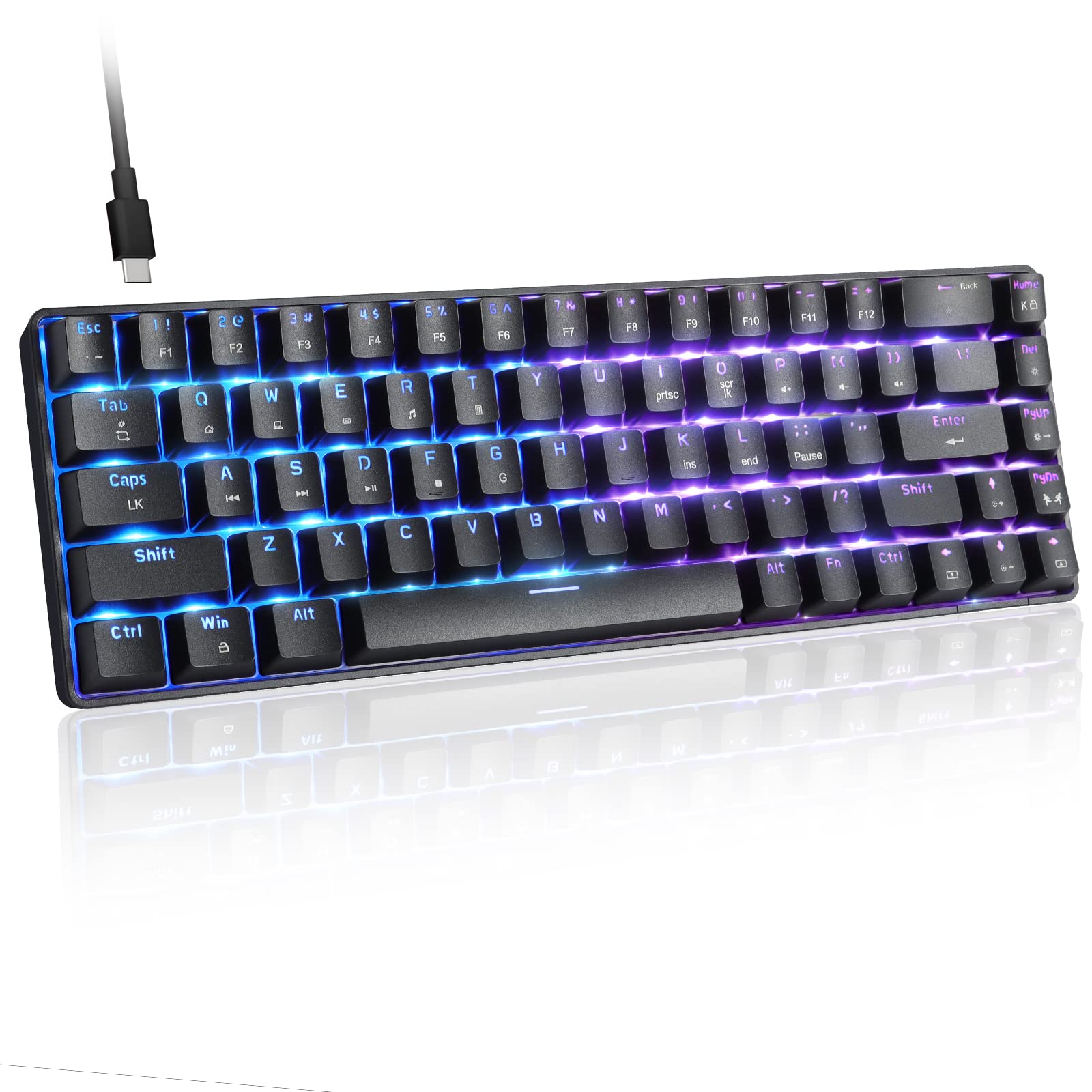 LexonElec 60% Wired Gaming Keyboard, RGB Backlit Ultra-Compact Mechanical Keyboard, Blue Switch Waterproof Compact 68 Keys Keyboard for Typist Laptop PC Mac Gamer(Purple)