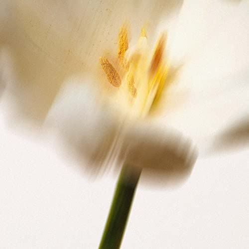 PHLUR - Fine Fragrance - Eau de Parfum - Travel Size (Hanami)