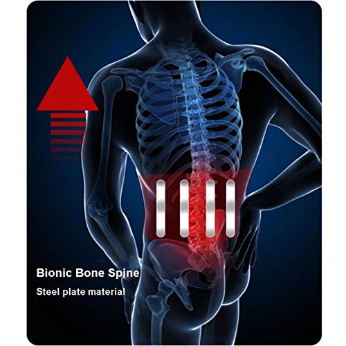 Lumbar Support Belt Widen Lumbar Support Belt Steel Plate Support Back Support Belt with Adjustable Support Straps for Pain Relief and Injury Prevention Back Braces for Lower Back Pain Relief