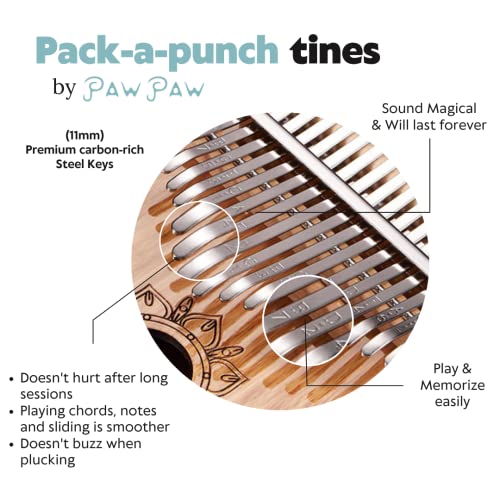 PAWPAW Kalimba 17 Keys w/hard case - C-Shape Solid Zebrawood - Carbon-rich Steel Keys - Essentials & more included (Manual + 2x easy Learn & Song E-books)…