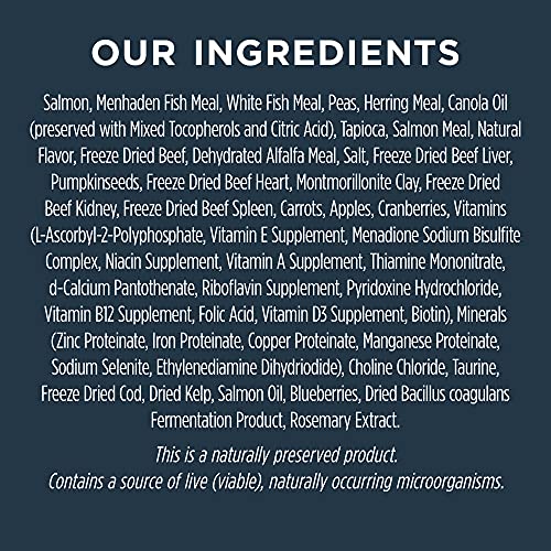 Instinct Raw Boost Grain Free Recipe with Real Salmon Natural Dry Cat Food by Nature's Variety, 4.5 lb. Bag