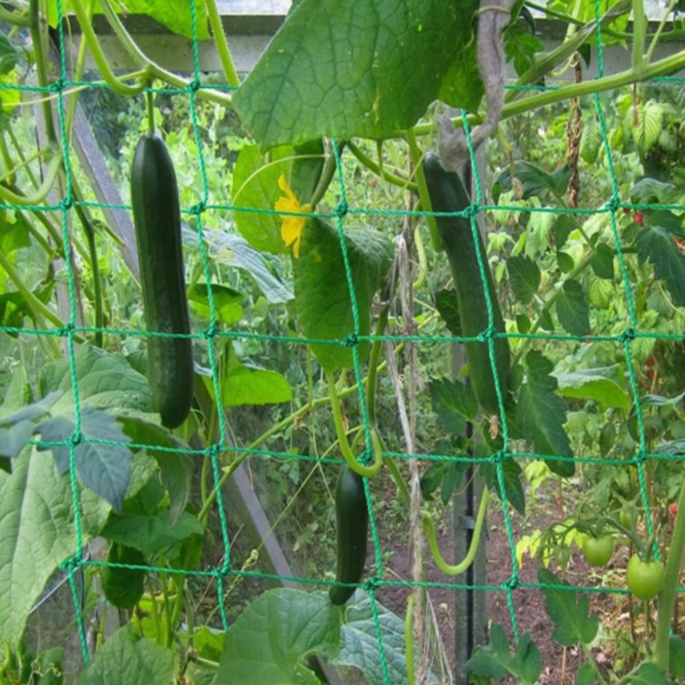 Plant Trellis Netting for Climbing Plants Outdoor Heavy Duty Plastic Garden Trellis Netting 27 Strands Plant Climbing Net Strong Support for Clematis, Cucumber,Tomatoes and Vine Plants (5.9x5.9FT)