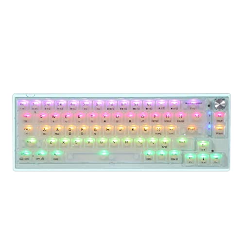 MechLands MC66 65% Hot Swap Programmable RGB 2.4Ghz/ Bluetooth/USB-C Wireless Gaming Keyboard with Double Sound Absorbing Silicone Pad, 4000mAh Battery for Win/MAC/iOS(White, Flamingo Switch)