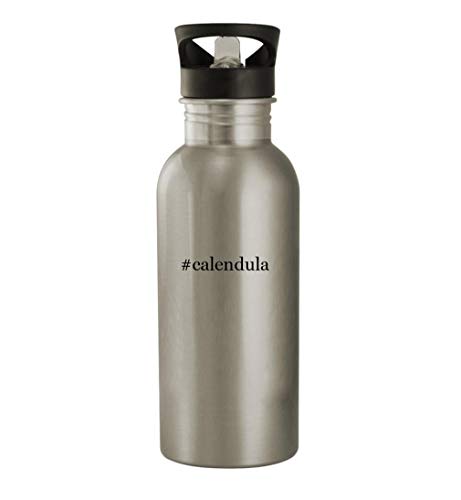 Knick Knack Gifts B04Y20D02W008202M04T65C18S20C-US - 20oz Stainless Steel Water Bottle, Silver