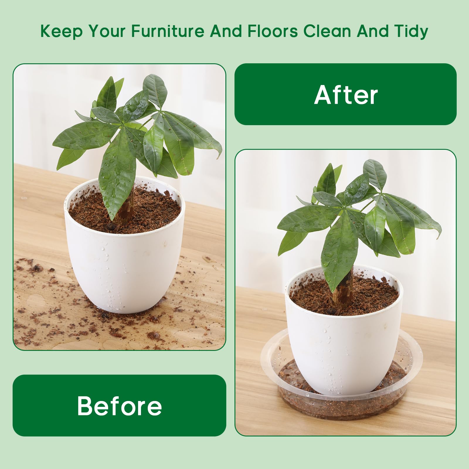 REXOS 40 Pack 6 Inch Clear Plant Saucers, Durable Plant Trays for Pots, Plastic Plant Pot Saucers for Indoors & Outdoors
