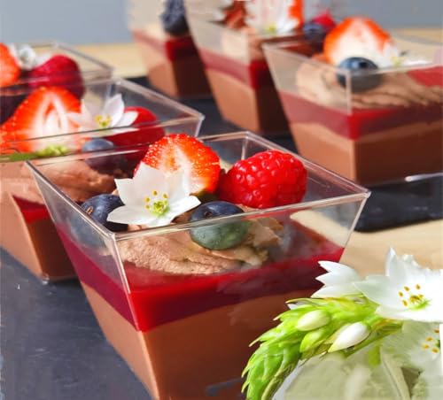 Wnqou 60ml Clear Dessert Cups with Spoons,50Pcs Reusable Plastic Dessert Cups,Mini Serving Bowl for Desserts Mousses,Puddings,Party 