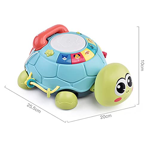 Musical Turtle Toy - Baby Crawling Toys for Babies 12+ Months - Learning with Sound, Music, Lights, Phone, Letters, Numbers - for Motor Skills, Cognitive Development, Hand-Eye Coordination