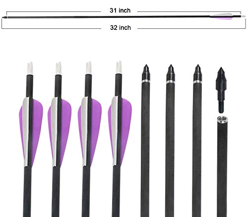IRQ Archery 31Inch Carbon Arrow Practice Hunting Arrows with Removable Tips for Compound & Recurve Bow(Pack of 12)