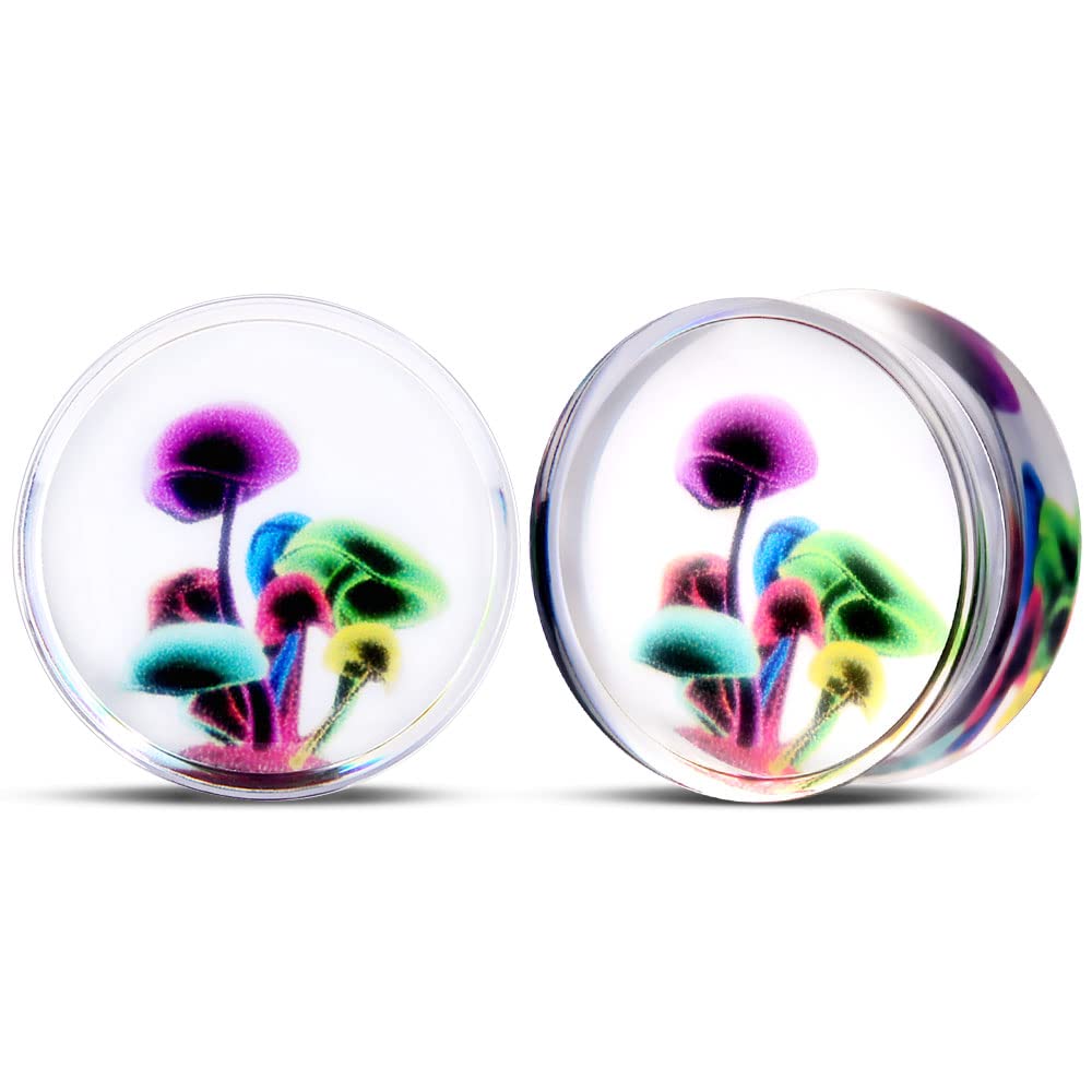 POBAISITER 2 PCS Resin Acrylic Transparent Ear Tunnels and Plugs Earrings Piercing Jewelry
