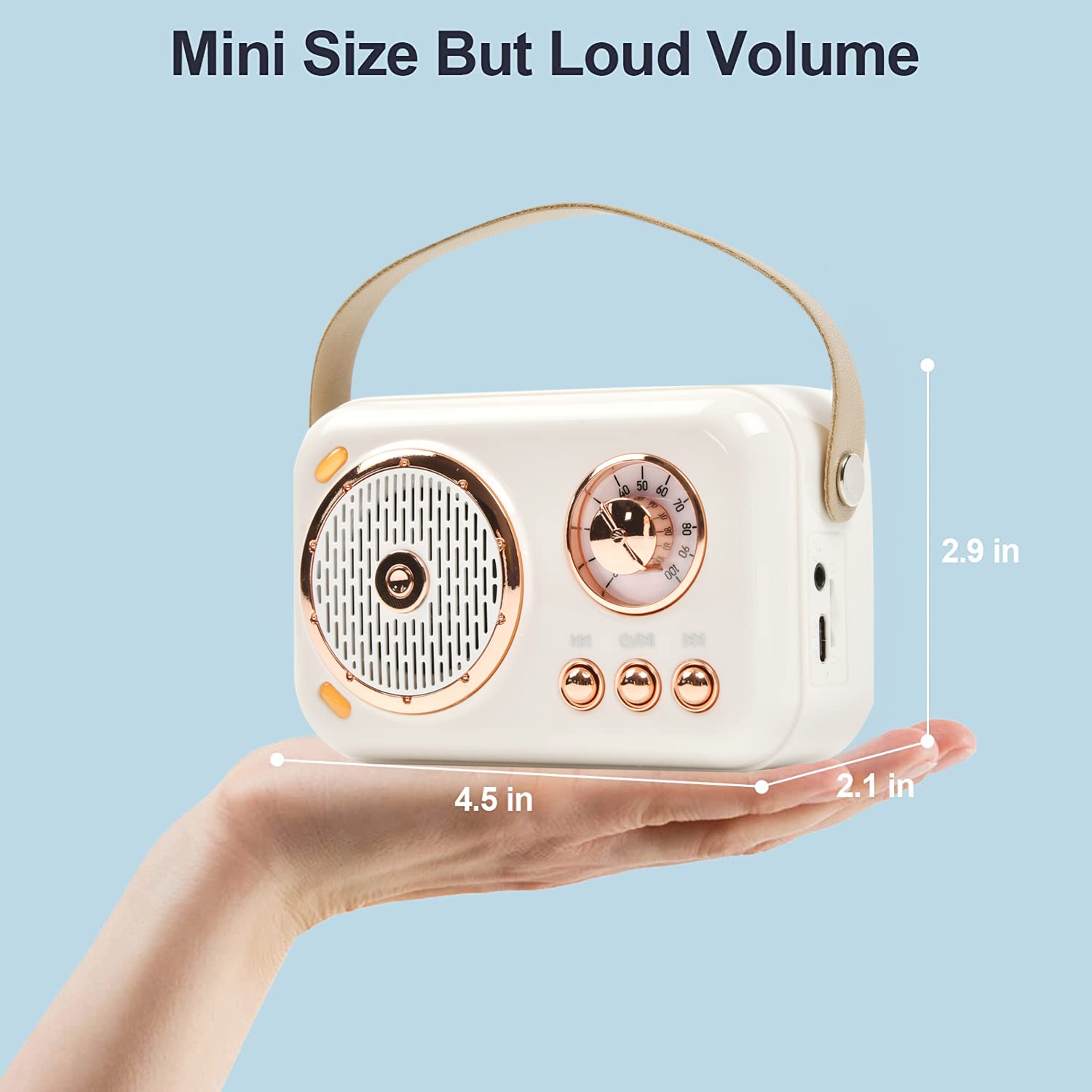 Portable Bluetooth Speaker with Microphone Set,Retro Bluetooth Speaker with Home Karaoke Machine,Portable Handheld Karaoke Mics Speaker Machine for Kids and Adults Home Party Birthday(White)