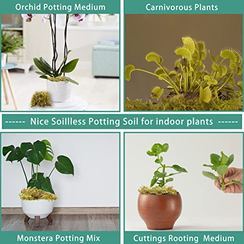 Yilotuce 7 oz NaturalĀ Orchid Moss for Potted Plants, Nice Soilless Potting Soil for Seedling and Cutting, Good Idea for Reptile Terrarium, Crafts, Garden Decoration