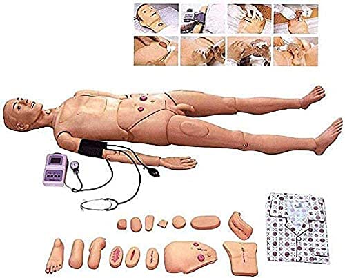 TAKESH Demonstration Human Manikin with Arm Blood Pressure Measurement Education Teaching Model Training CPR Simulator for Nursing Medical Training Life Size