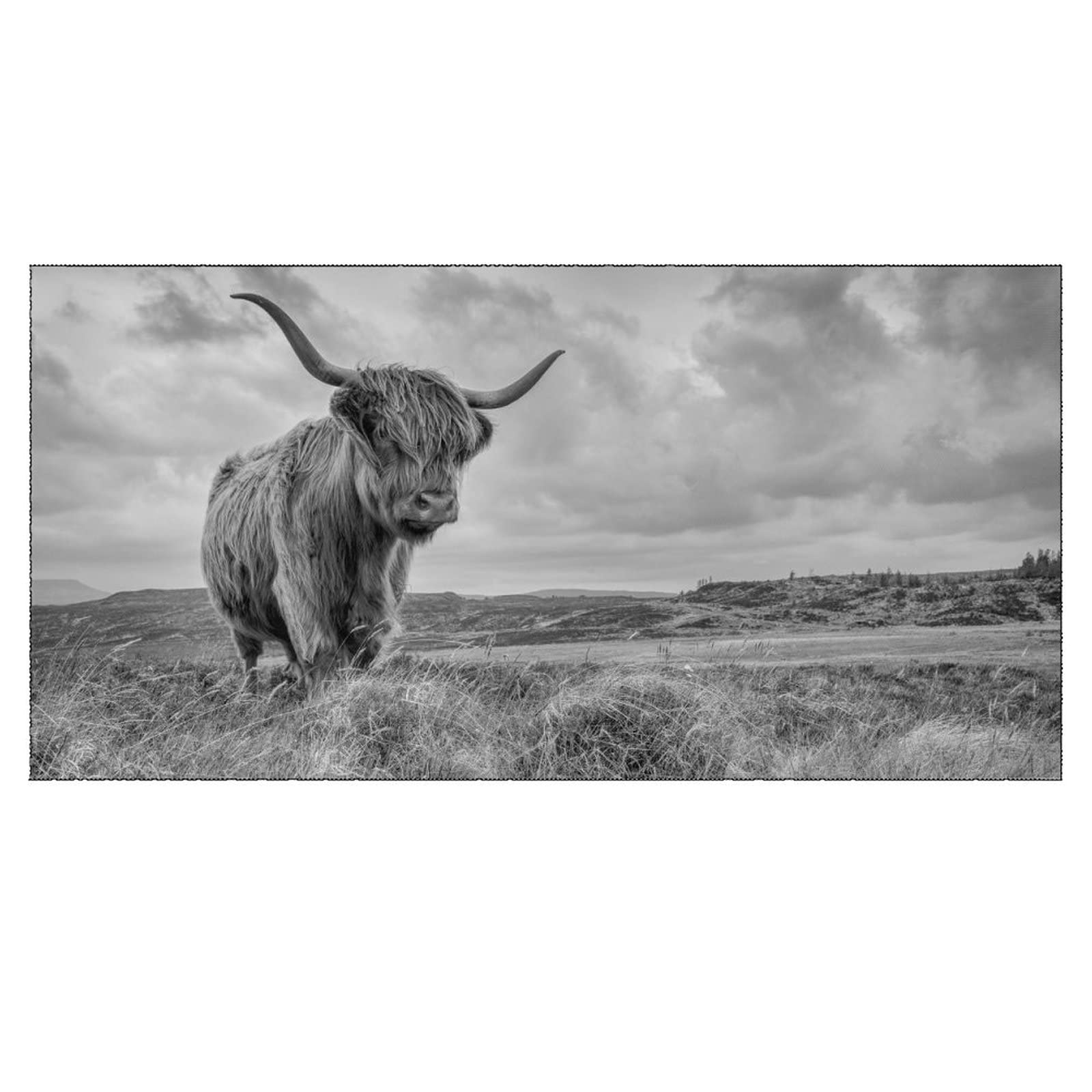 MoBlinko Highland Cow Kitchen Rugs Scotland Cattle Non Skid Bath Mat 39x 20 Inch Washable Standing Floor Mat Runner Carpet for Bathroom Home Office Farmhouse Laundry