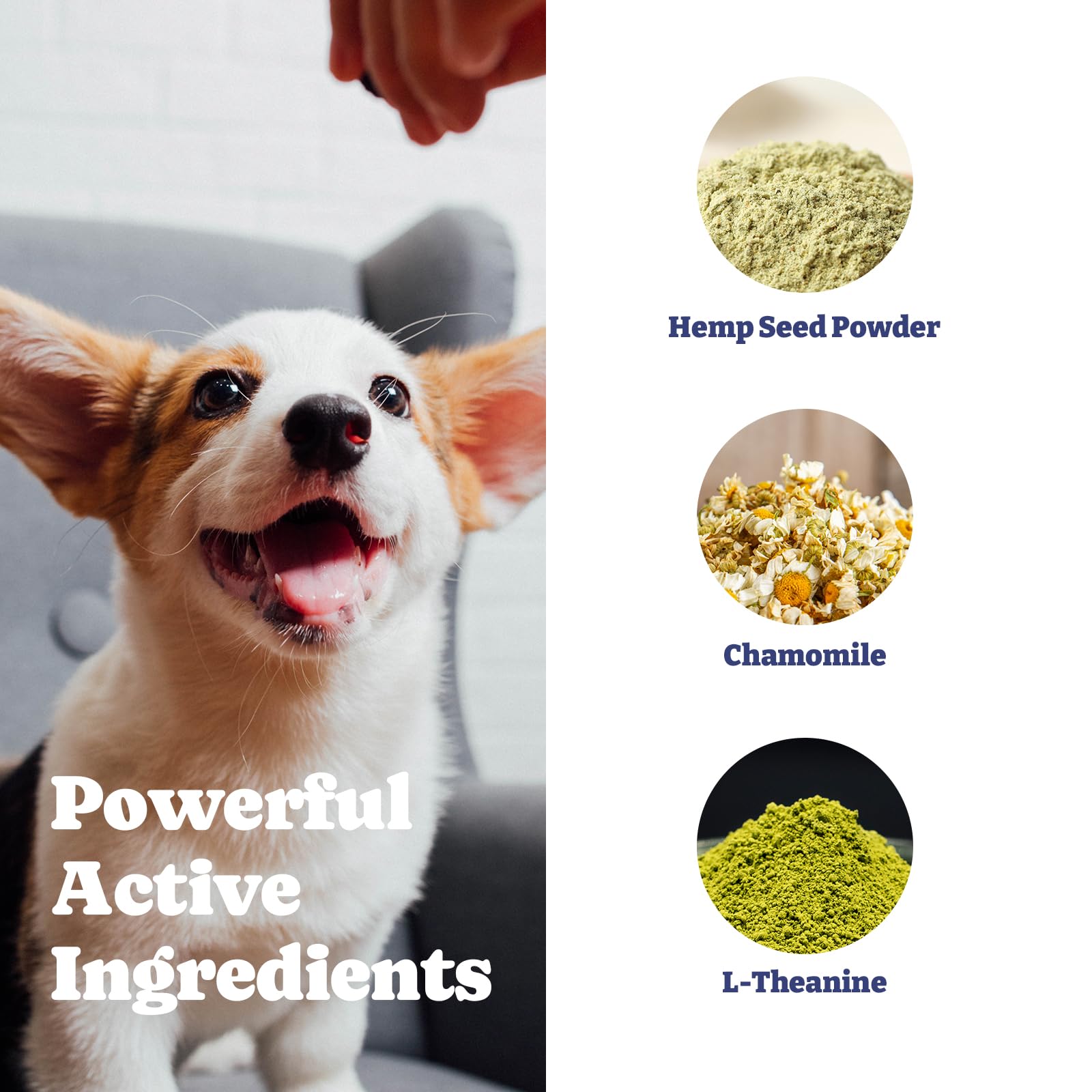 YoYoBay Dog Calming Chews for Anxiety, Separation, Travel, Thunderstorms - with Valerian Root, Melatonin, Hemp Oil - Duck & Pear Flavor, 170 Count
