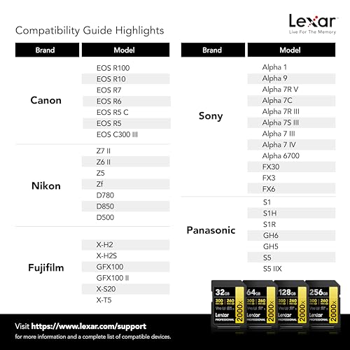 Lexar 128GB Professional 2000x SDXC Memory Card, UHS-II, C10, U3, V90, Full-HD & 8K Video, Up To 300MB/s Read, for DSLR, Cinema-Quality Video Cameras (LSD2000128G-BNNNU)