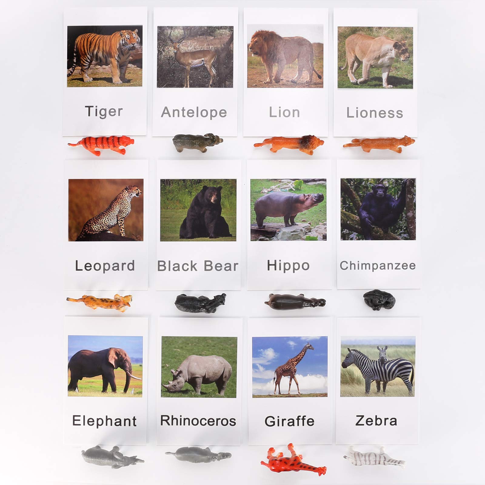 LOGANUSJ 48 PCS Montessori Marine Insects Poultry and Zoo Animals Figure Match 4 Sets - Matching Cards Montessori Language Materials Preschool Learning Toy, Language Materials, Shape Sorting Toy