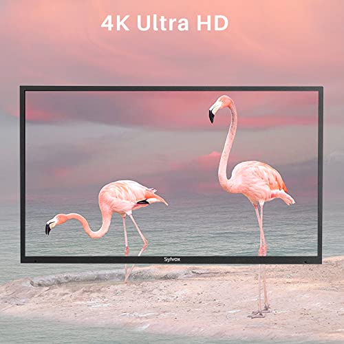SYLVOX 65 inch Outdoor TV, Waterproof 4K Ultra HD HDR Smart TV with Bluetooth WiFi Function for Partial Sunshine Areas
