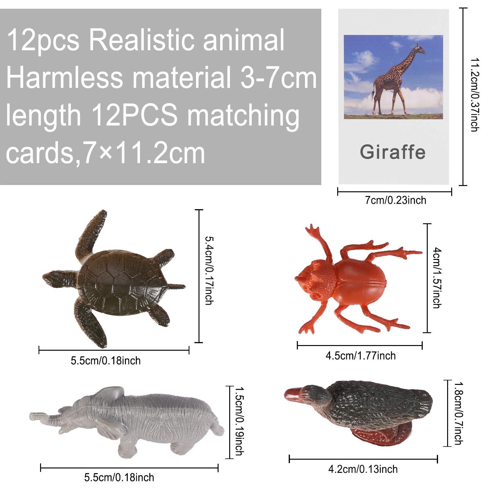 LOGANUSJ 48 PCS Montessori Marine Insects Poultry and Zoo Animals Figure Match 4 Sets - Matching Cards Montessori Language Materials Preschool Learning Toy, Language Materials, Shape Sorting Toy